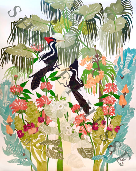Ivory-billed Woodpeckers – Shelley Hesse